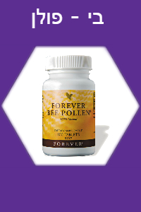 %d7%91%d7%99-%d7%a4%d7%95%d7%9c%d7%9f